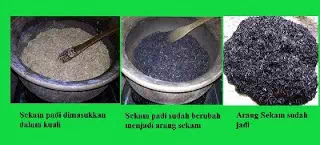 Cara Membuat Arang Sekam Untuk Media Tanam Dalam 30 menit Siap Pakai ...