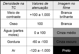 A radiologia e seus tons de cinza: Introdução à radiologia e ...