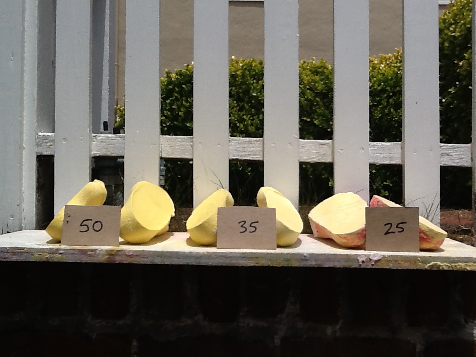 Foot and Ankle Problems By Dr. Richard Blake: Inverted Orthotic ...