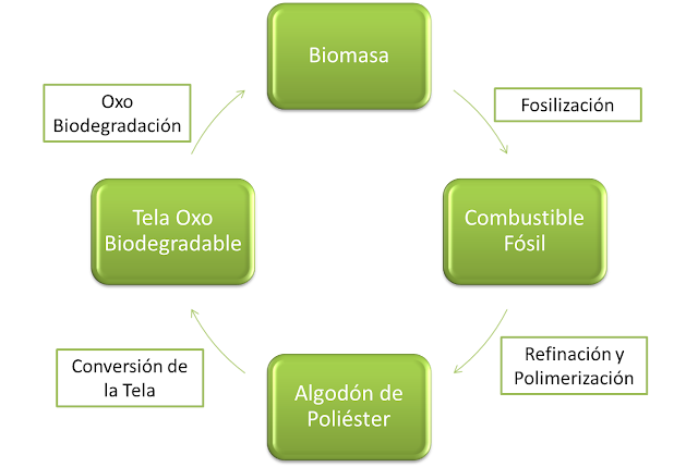 Bio - Indumedical S.A.: CICLO DE BIODEGRADACIÓN