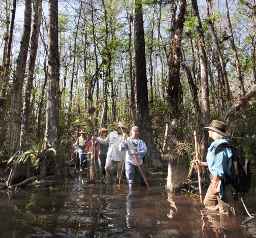 Photo Journal: Winter Swamp Walk 2011