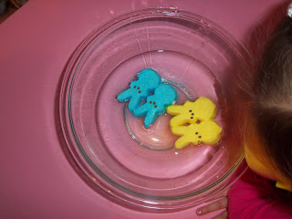 The Thoughtful Spot Day Care: Preschool Science