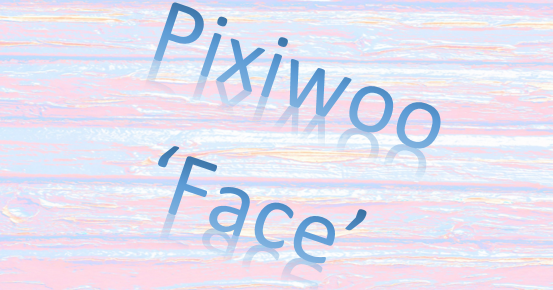 Review - Pixiwoo 'Face'