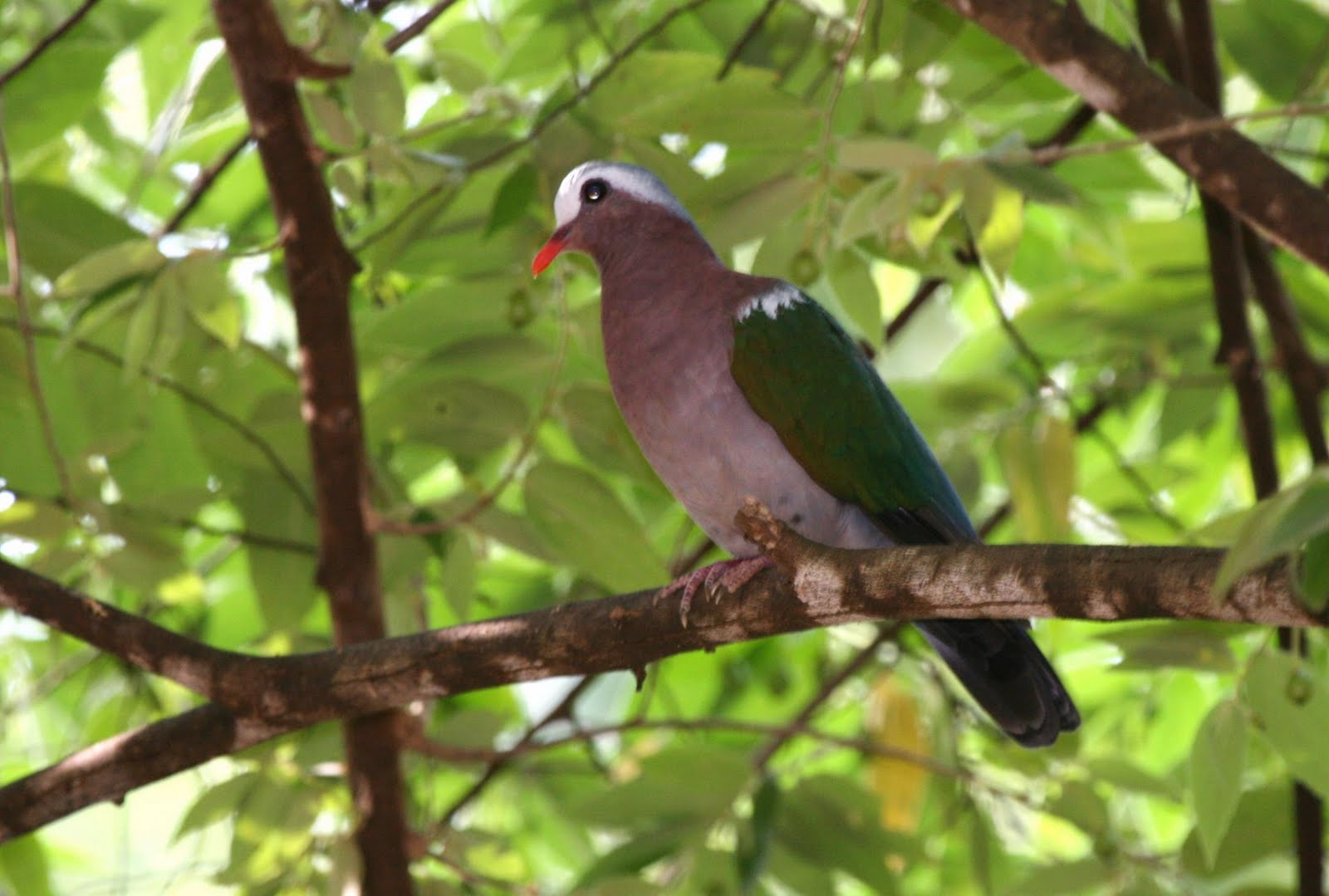 Victoria Range Community Blog