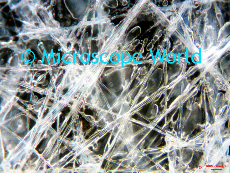 Microscope World Blog: Flooring Composite Under the Microscope