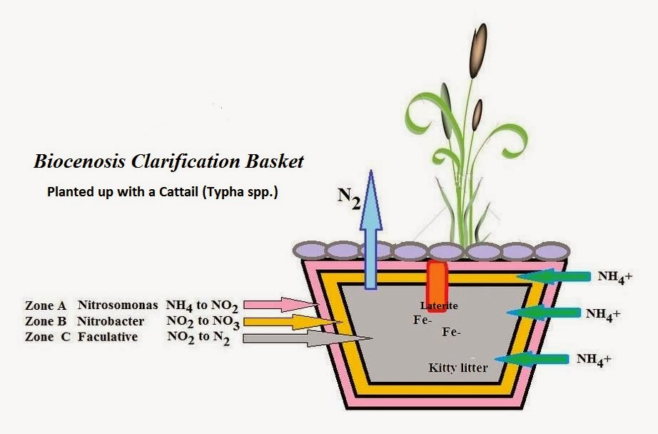 Anoxic Filtration System: Letter from the Netherlands.