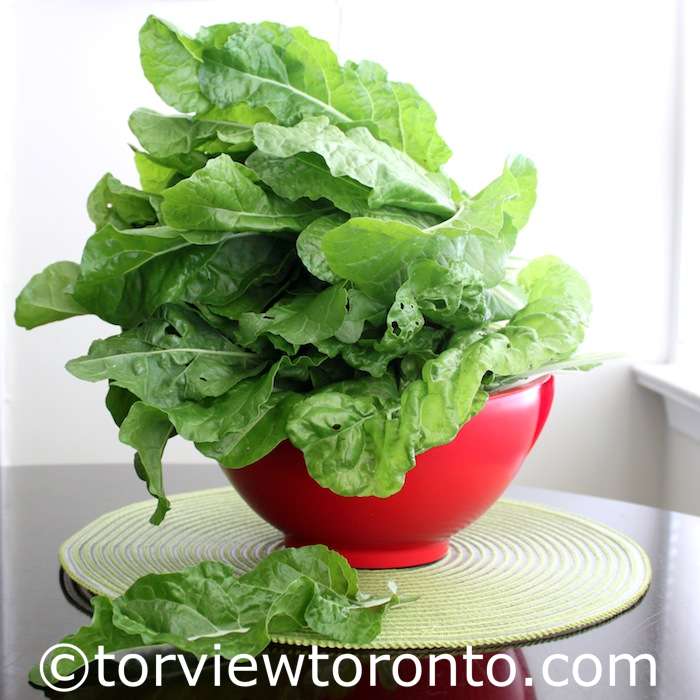 Torviewtoronto: Collard Stir Fry