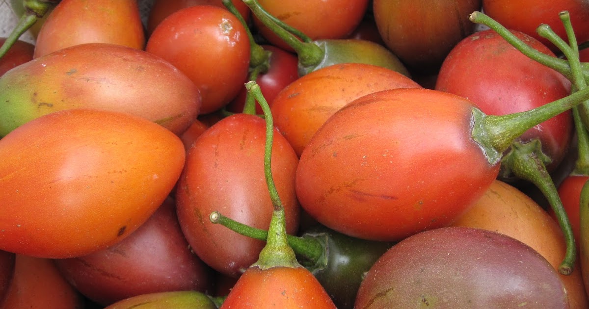 Drea's Food Adventures: Food: I love you! Travel: I like you too!