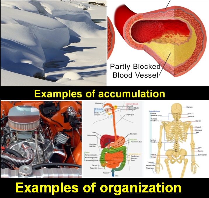 Future and Cosmos: Exaptation or Co-Option Does Not Fix the Incipient ...