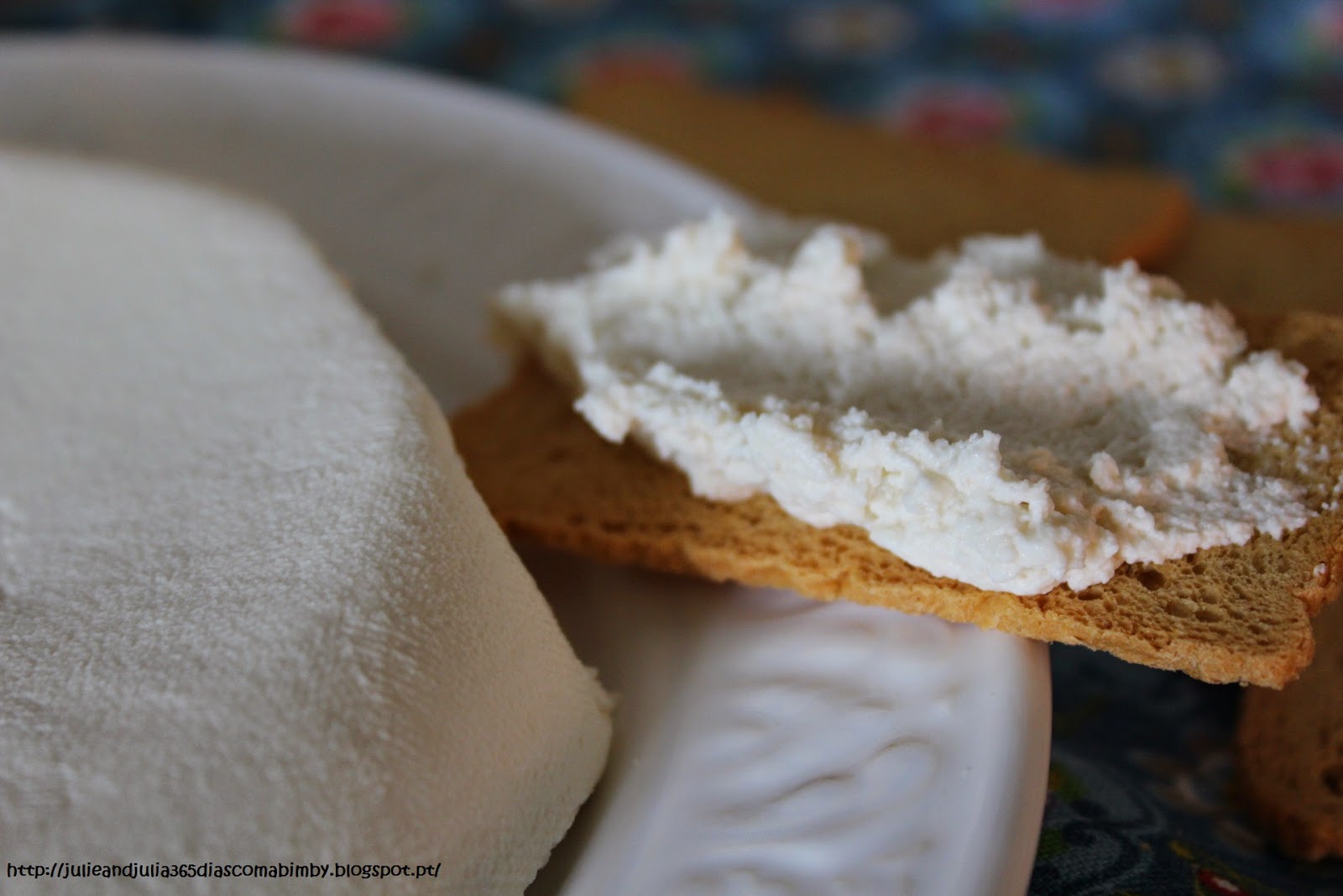 Julie and Julia 365 dias com a Bimby: QUEIJO RICOTA, BIMBY