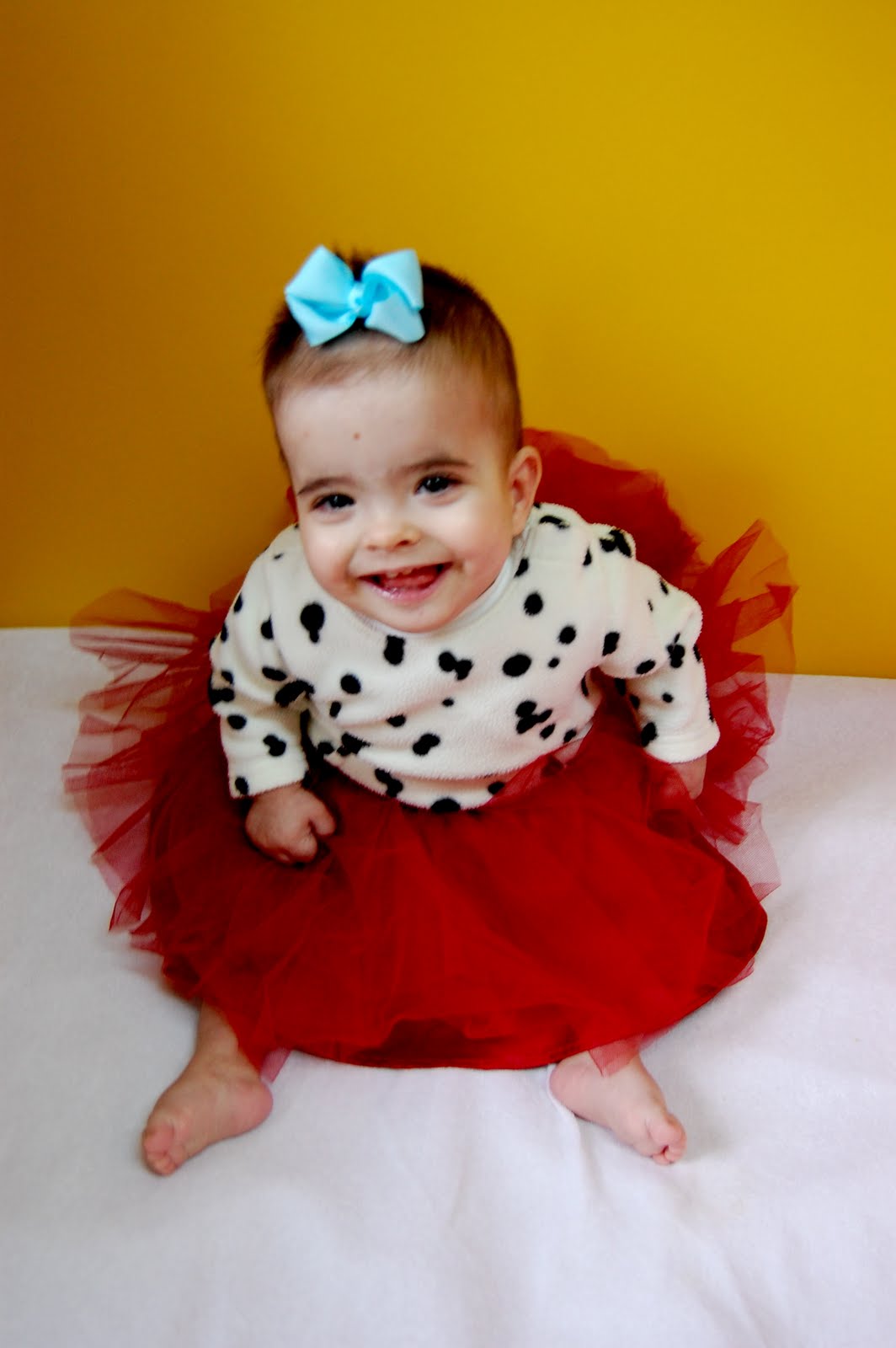 Tutova, Barlad, and Beyond (2008-2011): Baby Models