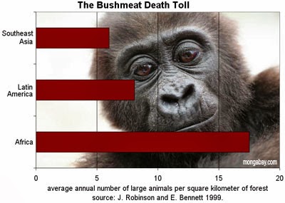 INSTITUTO DE BIOLOGIA & INGENIERIA DE ECOSISTEMAS: THE BUSHMEAT TRADE ...