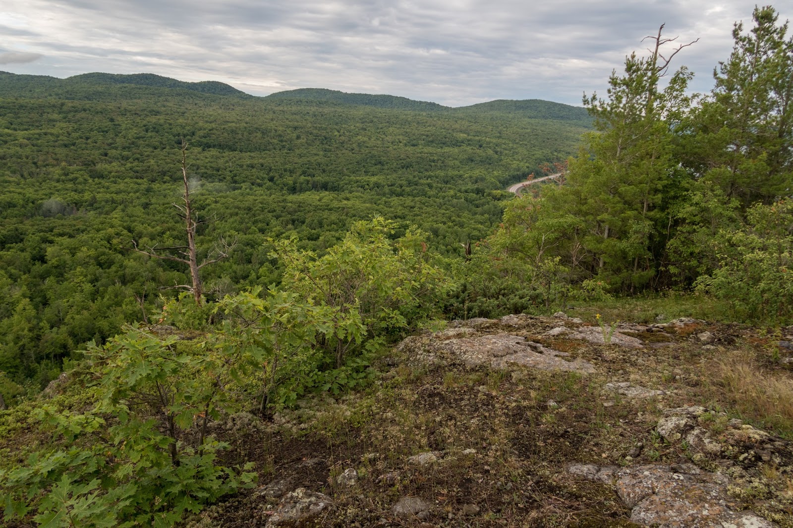 Eric's Hikes: Voyageur Trail: Harmony and Stokely Trails