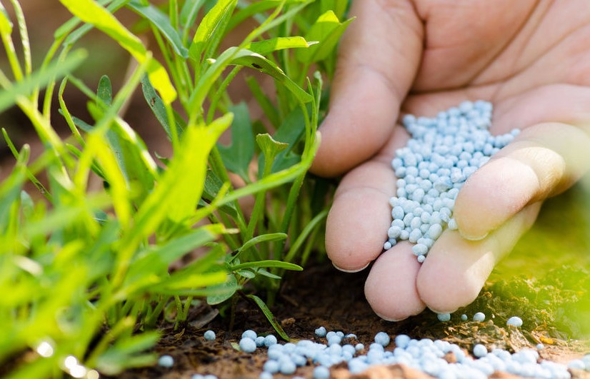 Different Kinds Of Fertilizer - Agricultural Information World
