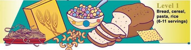 Level 1 - Food Pyramid ~ Health & Food