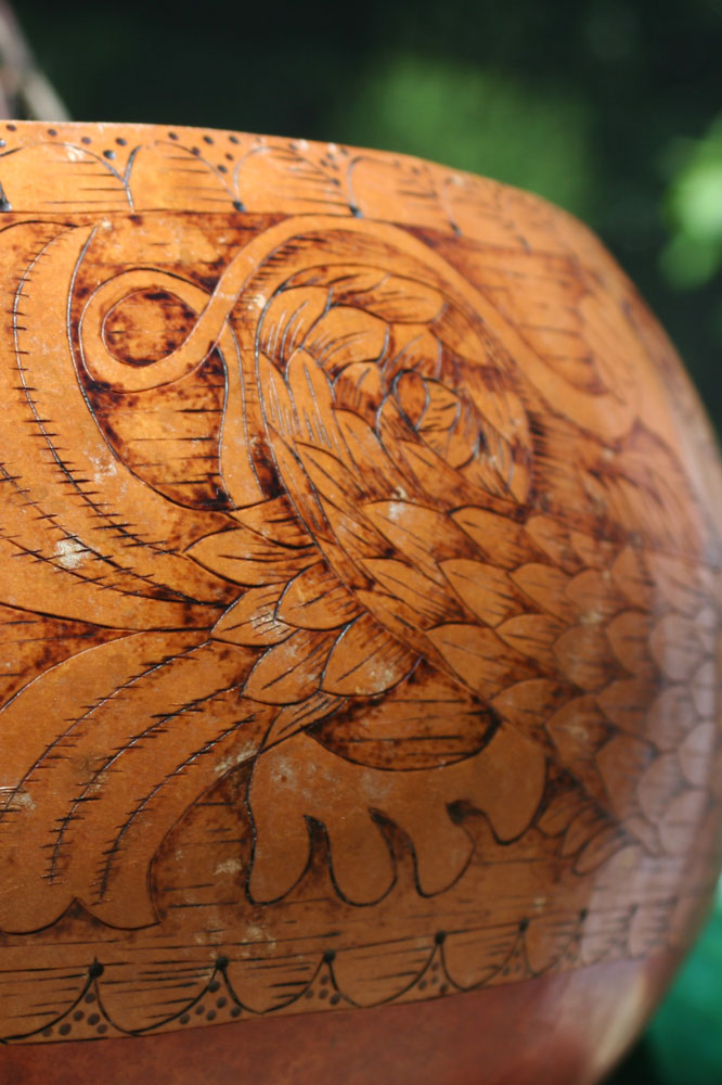 The Rainforest Garden: The Dangerous Art of Gourd Crafting