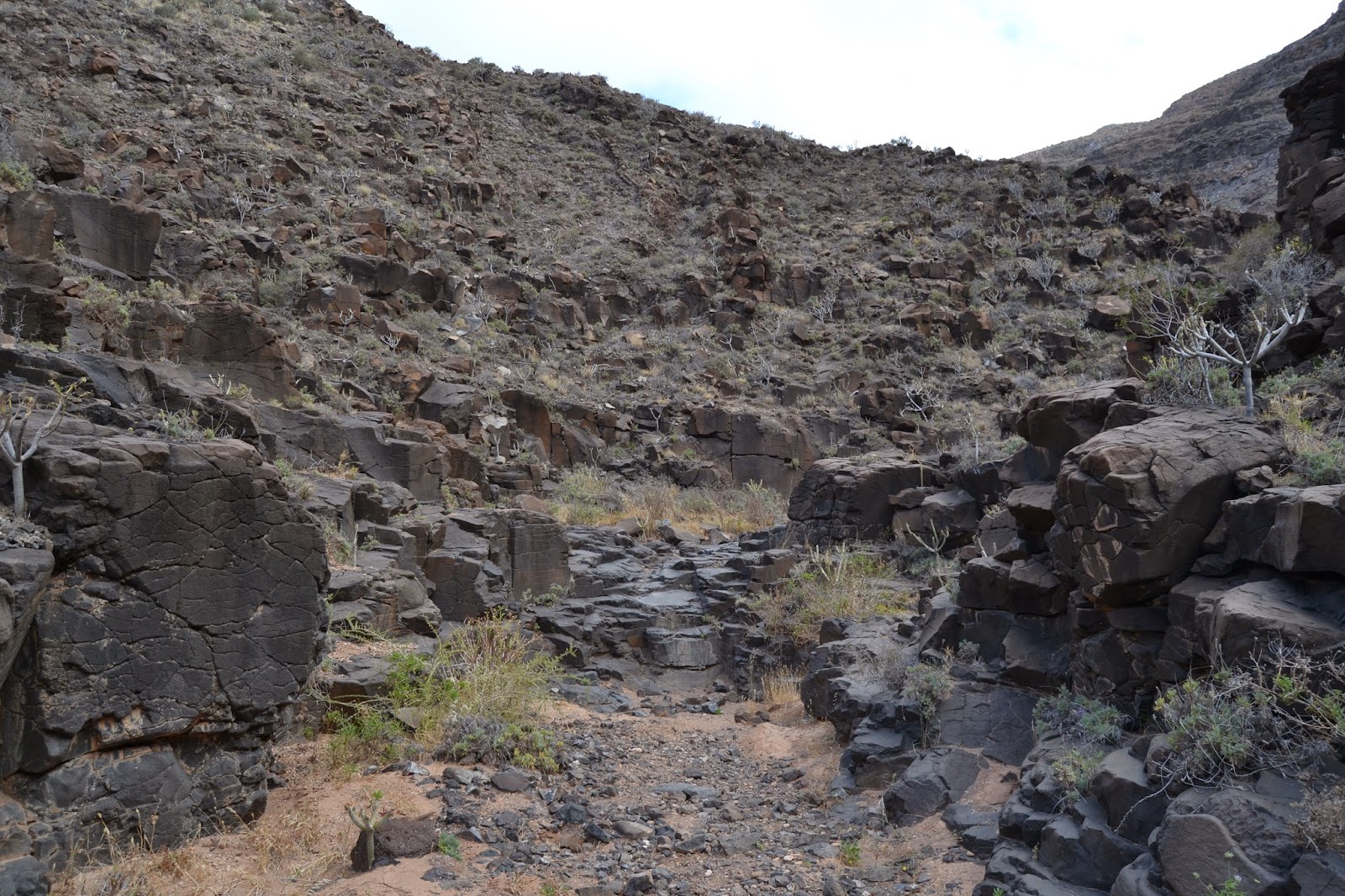 Entre Veredas y Volcanes: BARRANCO DE TENEGÜIME.