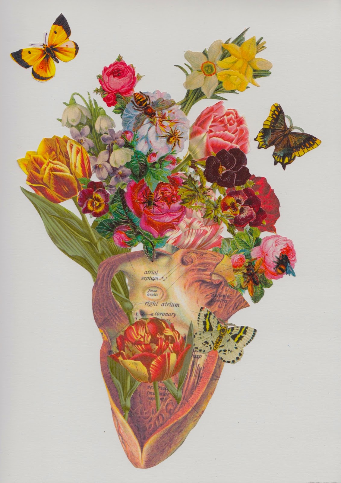 February Artist of The Month: Bedelgeuse