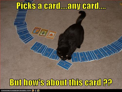 Meta Watershed: 12/4/11 - 12/11/11