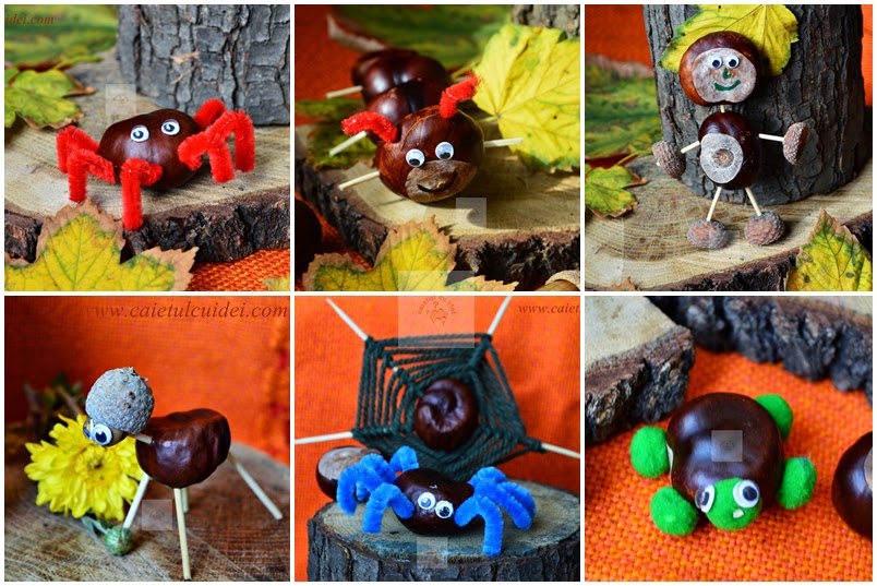 Activitati practice cu castane - CAIETUL CU IDEI