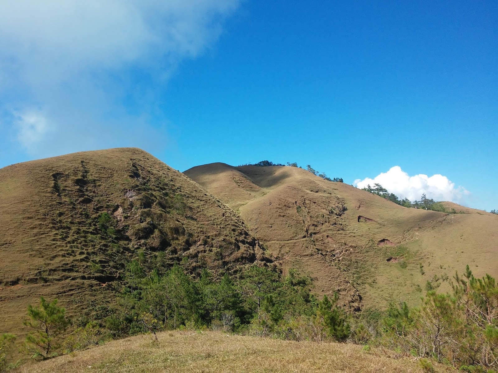 Mt. Ulap Eco Trail Travel Guide - moredantravels