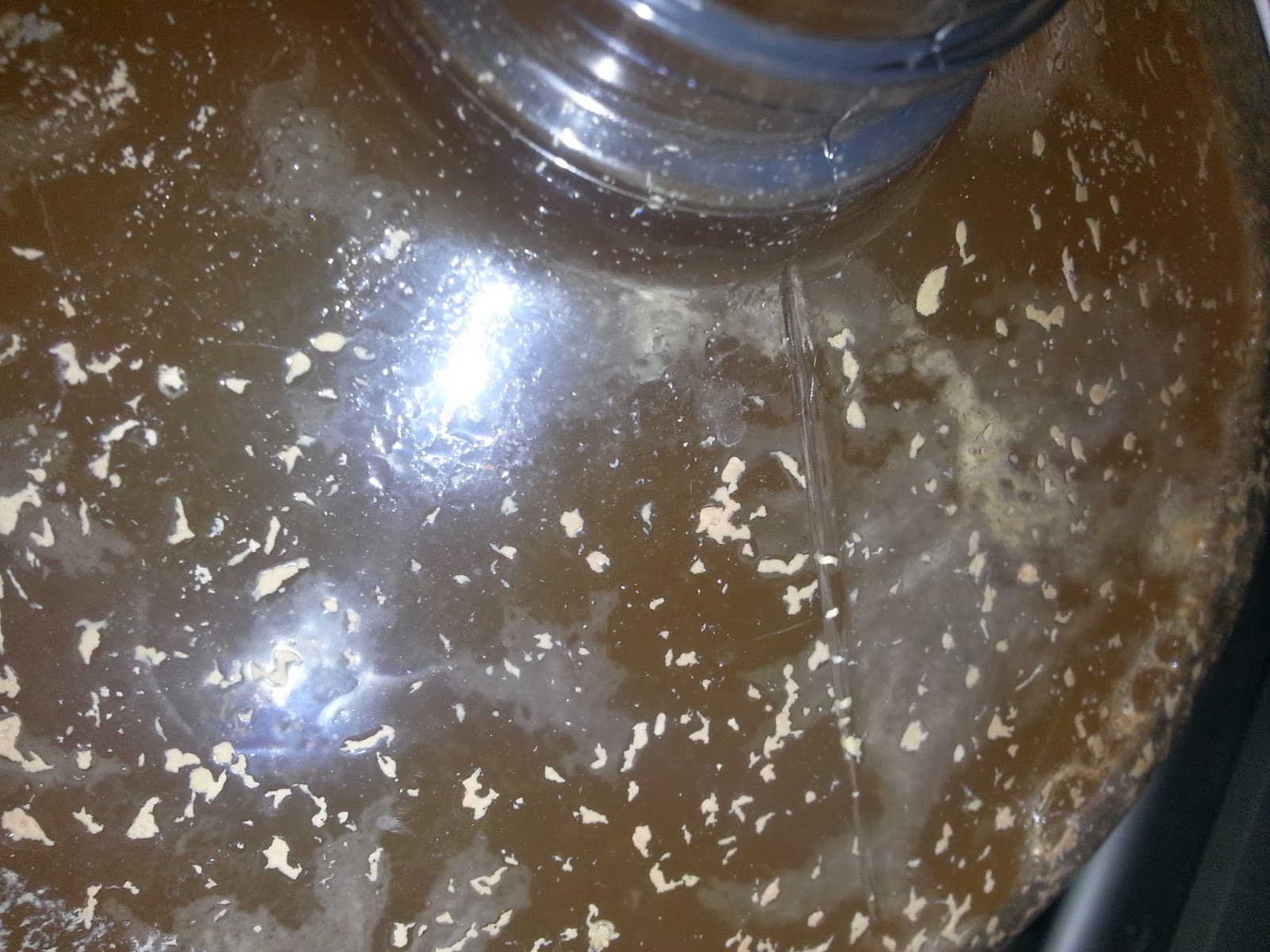 Spontaneous Fermentation Project Part 5 -- week 2 of fermentation ...