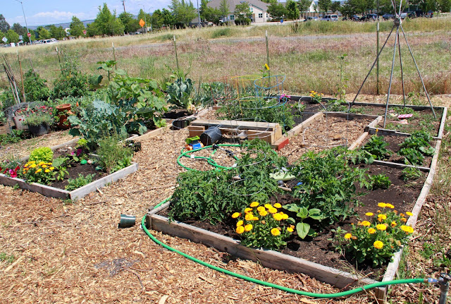My First Garden: Photos: 7 different community garden plot designs