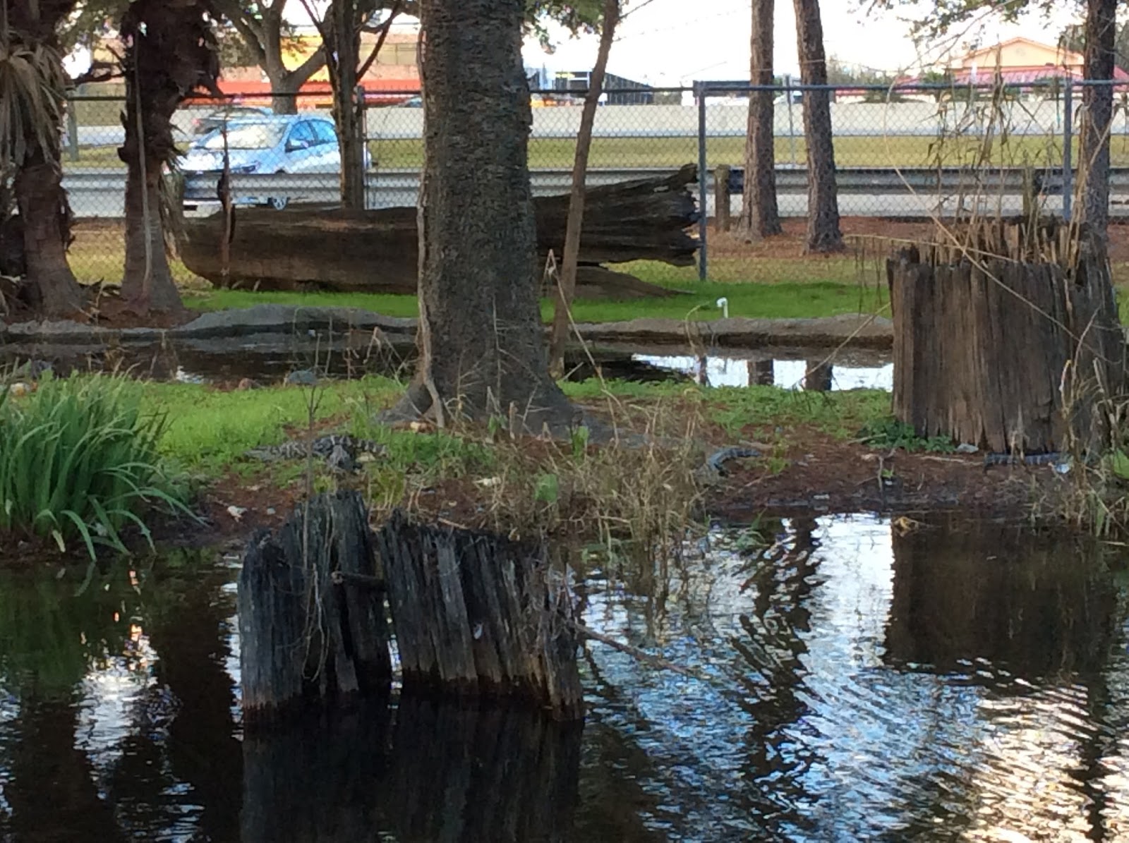 Elder Murdock In The Texas Houston East Mission