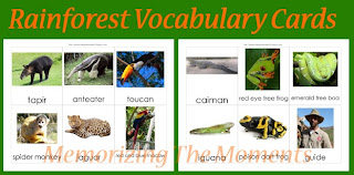 Memorizing the Moments: Vocabulary Cards