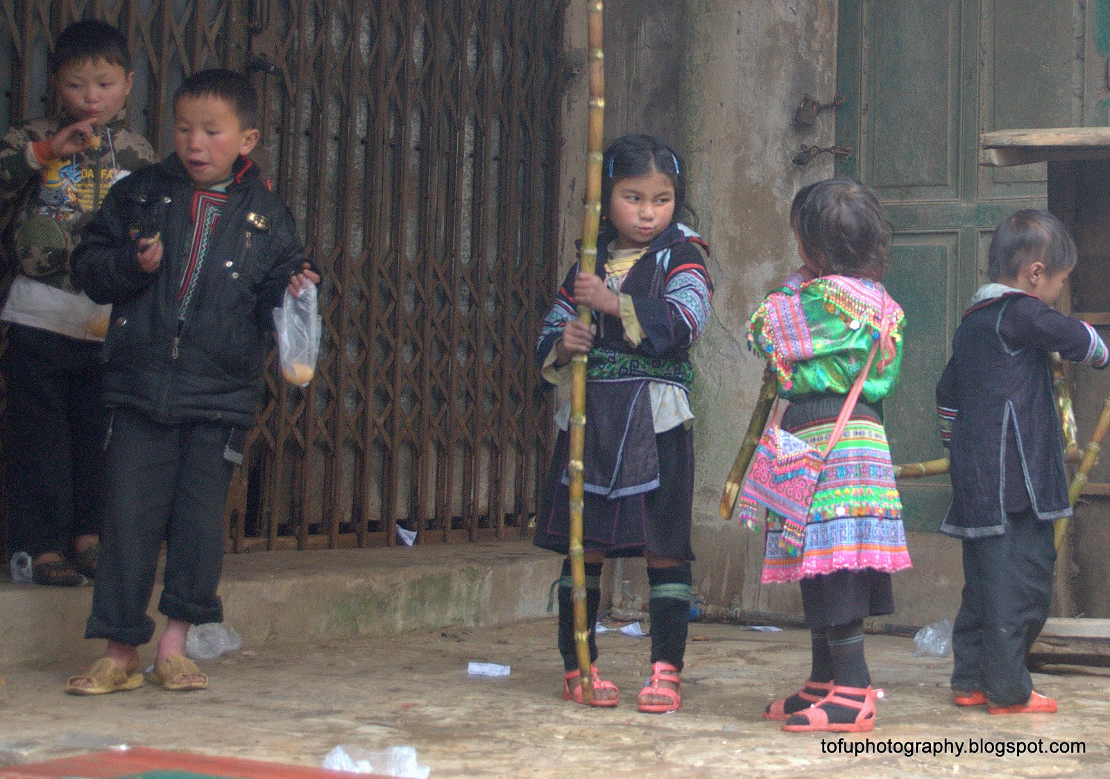 Tofu Photography: Chewing sugar cane