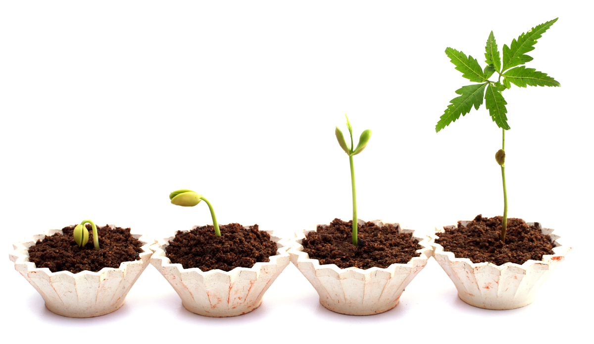 GROWING INTO MATURITY (5)THE PLACE OF RIGTH TEACHINGS - Amachukwu ...