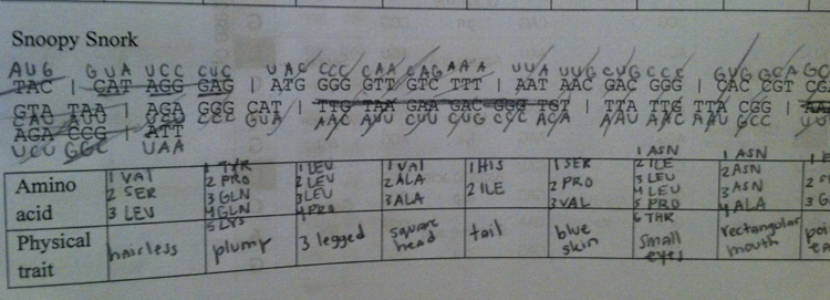 Honors Biology : 11/6 Snork Lab