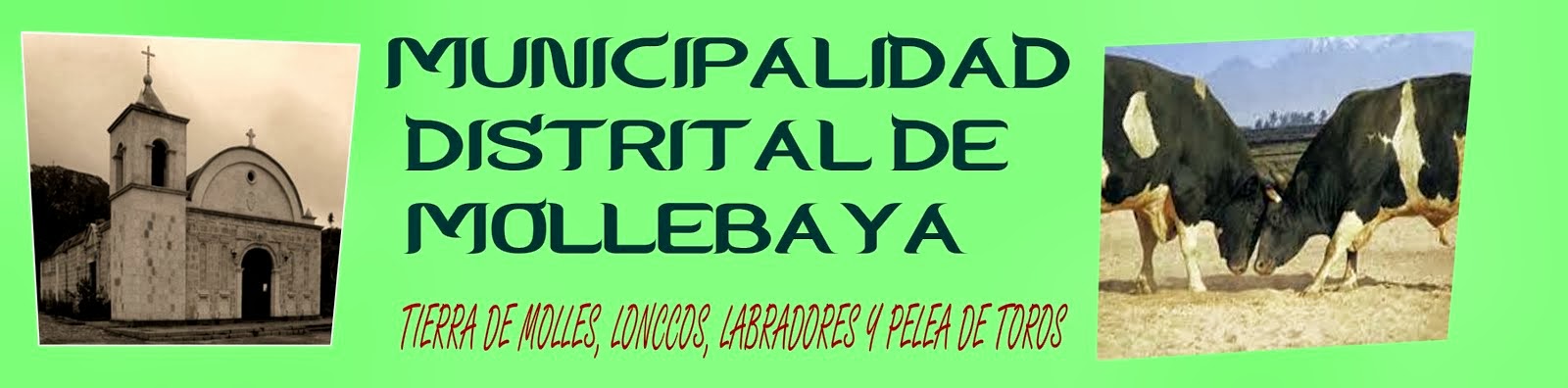 MUNICIPALIDAD DE MOLLEBAYA: agosto 2013