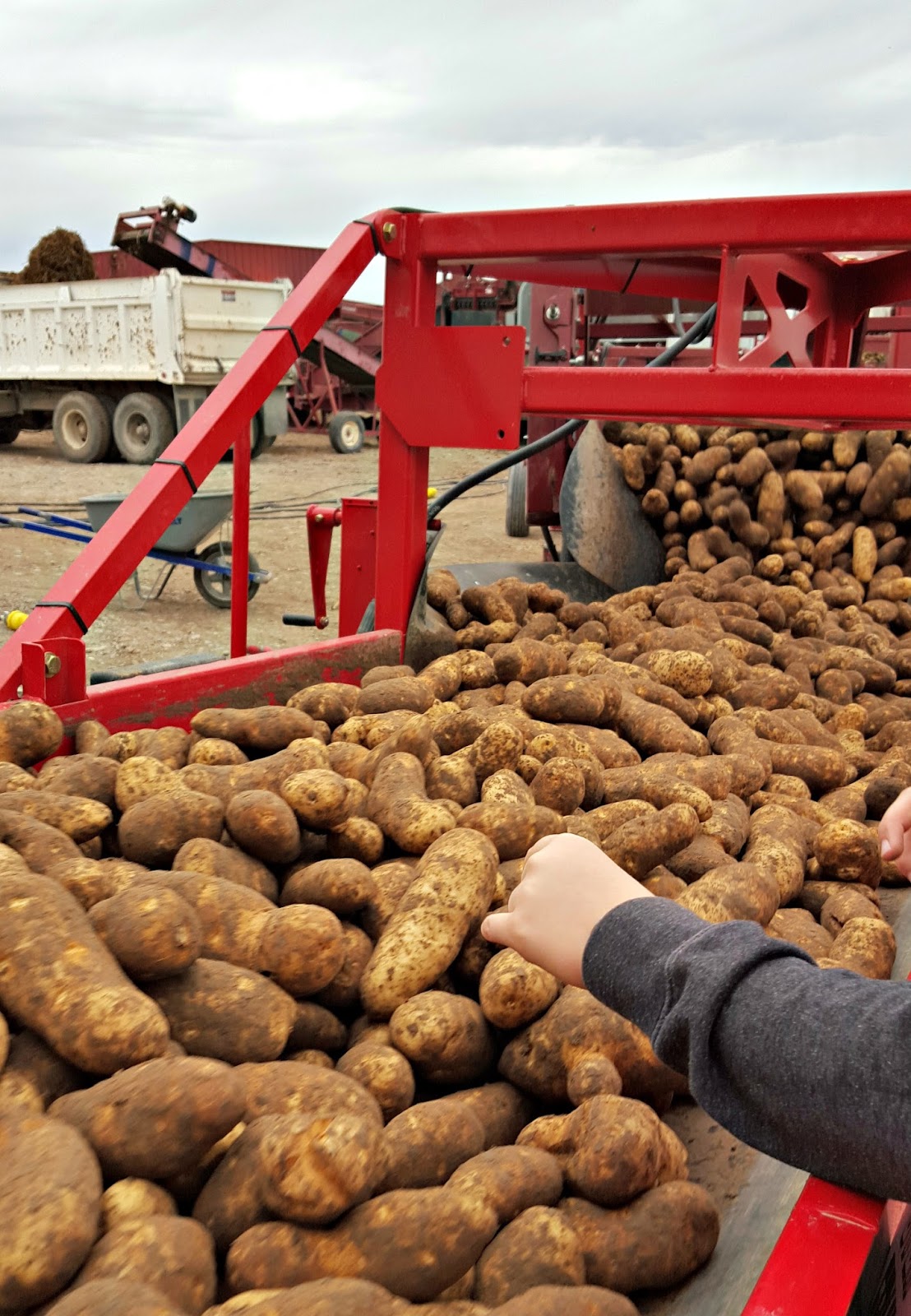 Joy in the Kitchen!: Good ole Idaho Mashed Potatoes