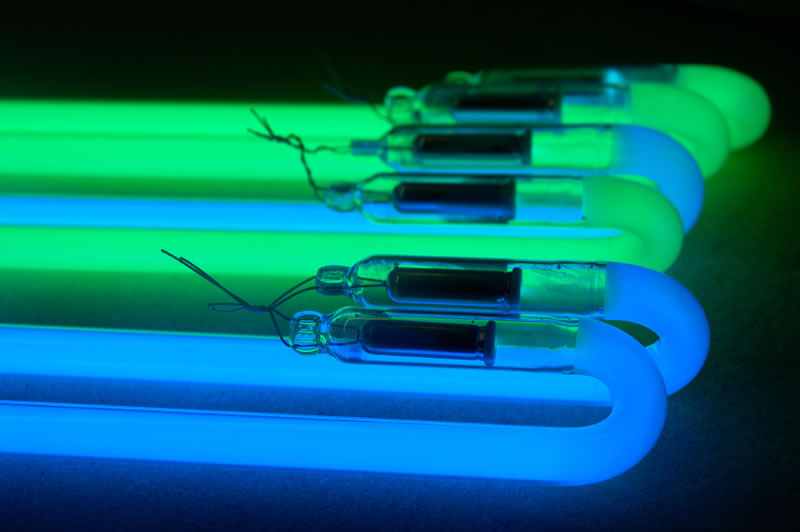 Trend-Forward: Celebrating Neon