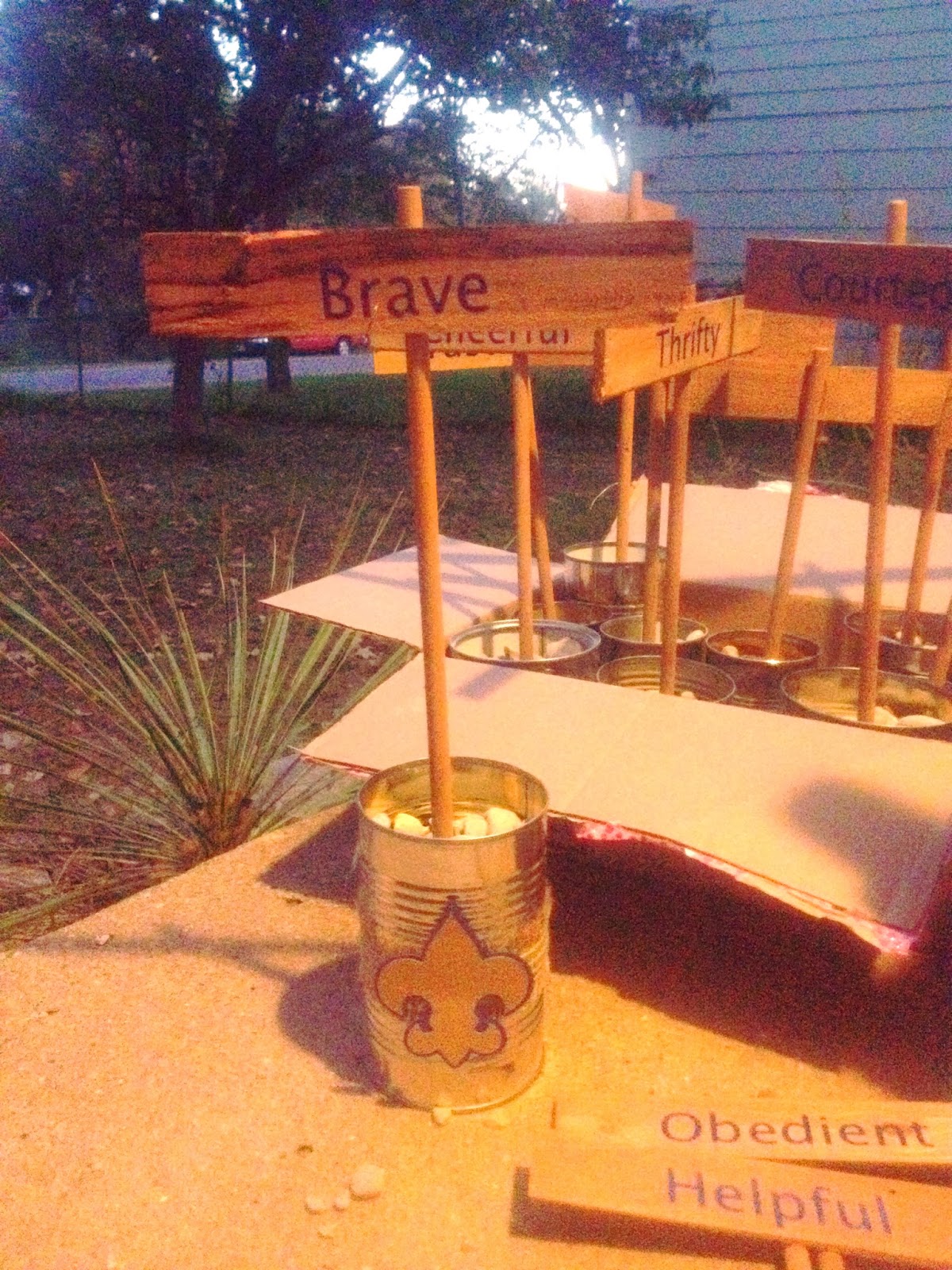 Party Decorations (Eagle Court of Honor) on the Cheap