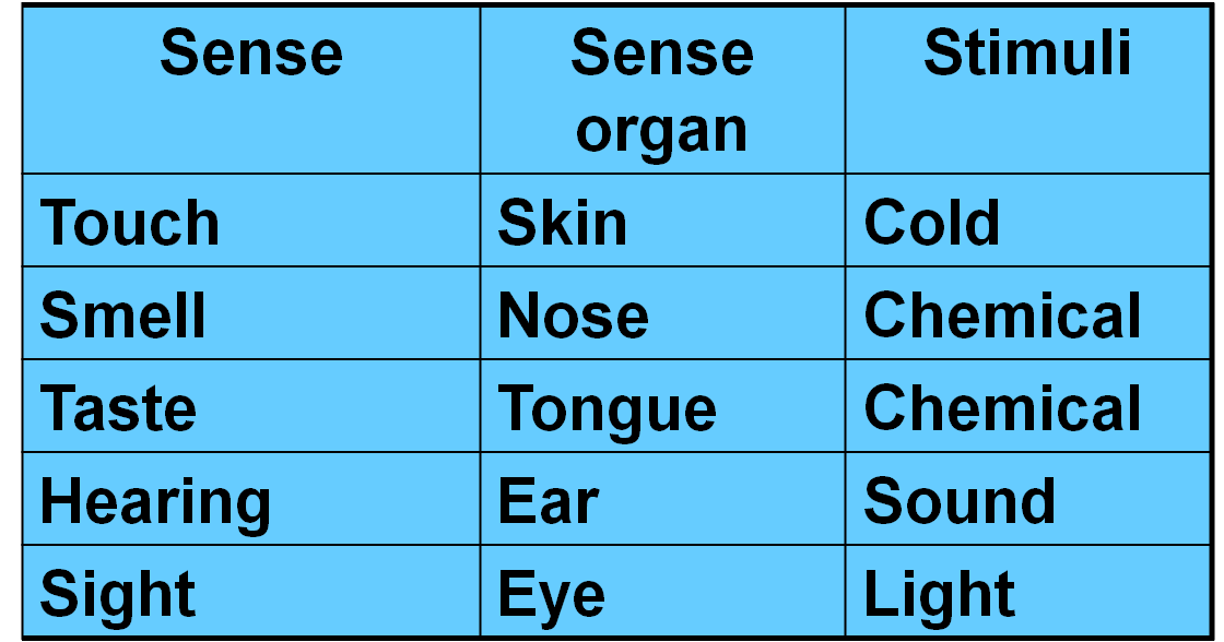 CHAPTER1:WORLD THROUGH OUR SENSES | MScienceBuzz