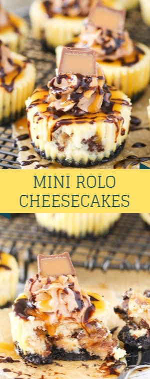 MINI ROLO CHEESECAKES - Jenelle Recipe & Cooking