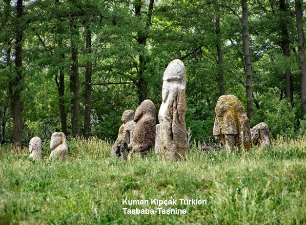 TARİH VE ARKEOLOJİ: The Cumans Turks