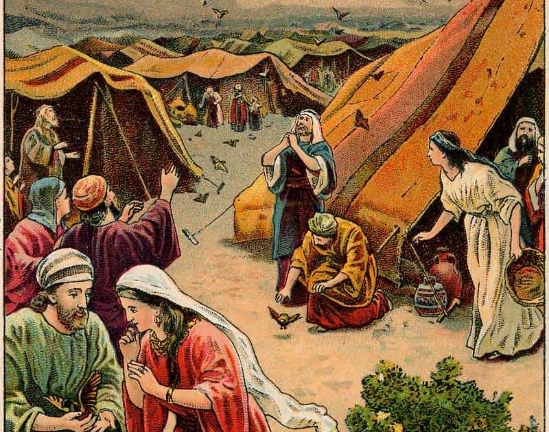 SEM, CHAM ET JAPHET - VOYAGE DANS TROIS PARTIES DU MONDE