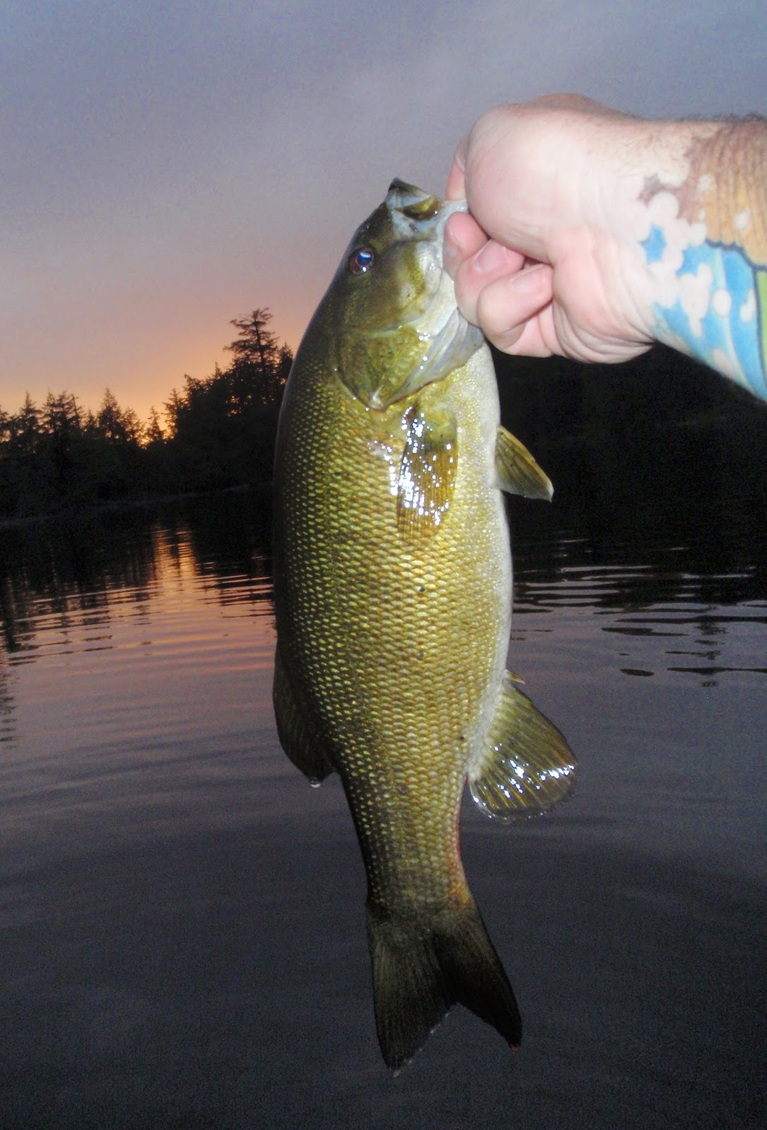 Bass Junkies Fishing Addiction: Float Tube Bass Fishing