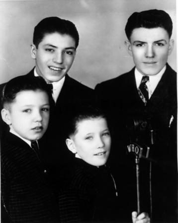 Stardust Melodies: Interpreti americké populární písně: Andy Williams