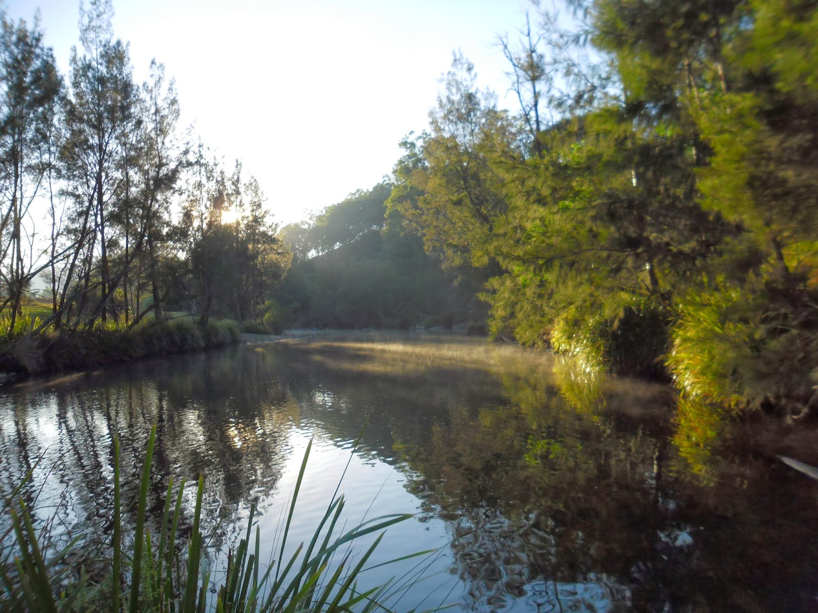 Bush, Fishing and Fun: Lostock Dam Caravan Park