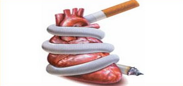 Bahaya Rokok Bagi Kesehatan Dan Cara Mengatasinya - Kesehatan Kita