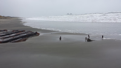 The Heritage Huntress: The Wreck of the Emily G. Reed