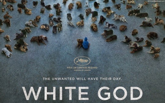 In Theaters.: White God (Feher Isten) κριτική ταινίας