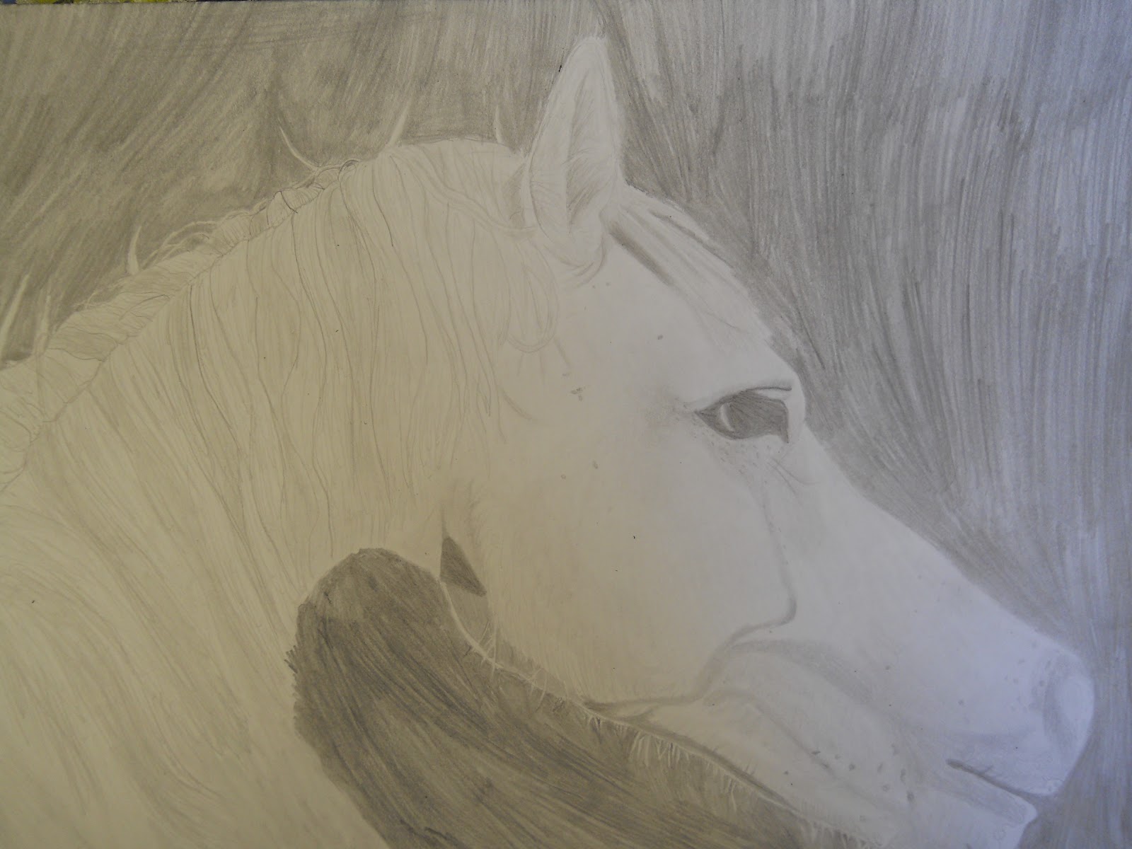 Creative Expressions: Wild Animal Drawings in Pencil and Previews