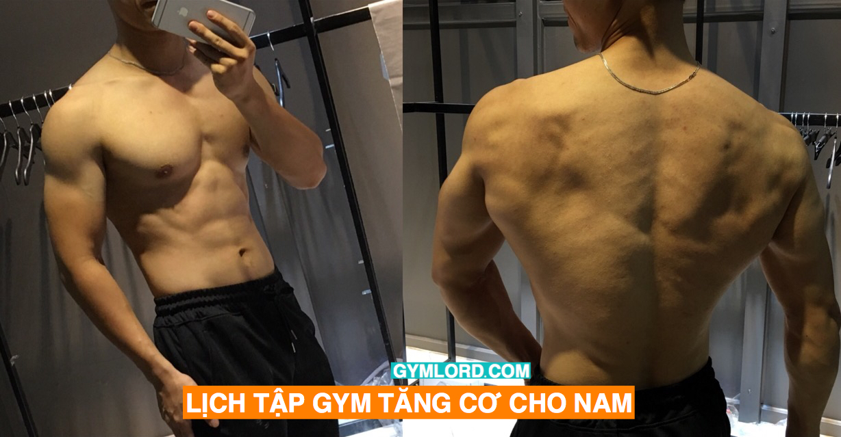 Lịch Tập Gym Tăng Cơ Cho Nam Có ảnh Bài Tập Hướng Dẫn Chi Tiết