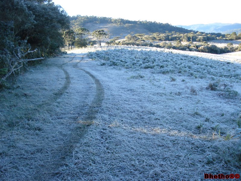 LeãoBaioMotorClub: IMAGENS DO INVERNO LAGEANO - GEADA (LAGES - SC -BRASIL)