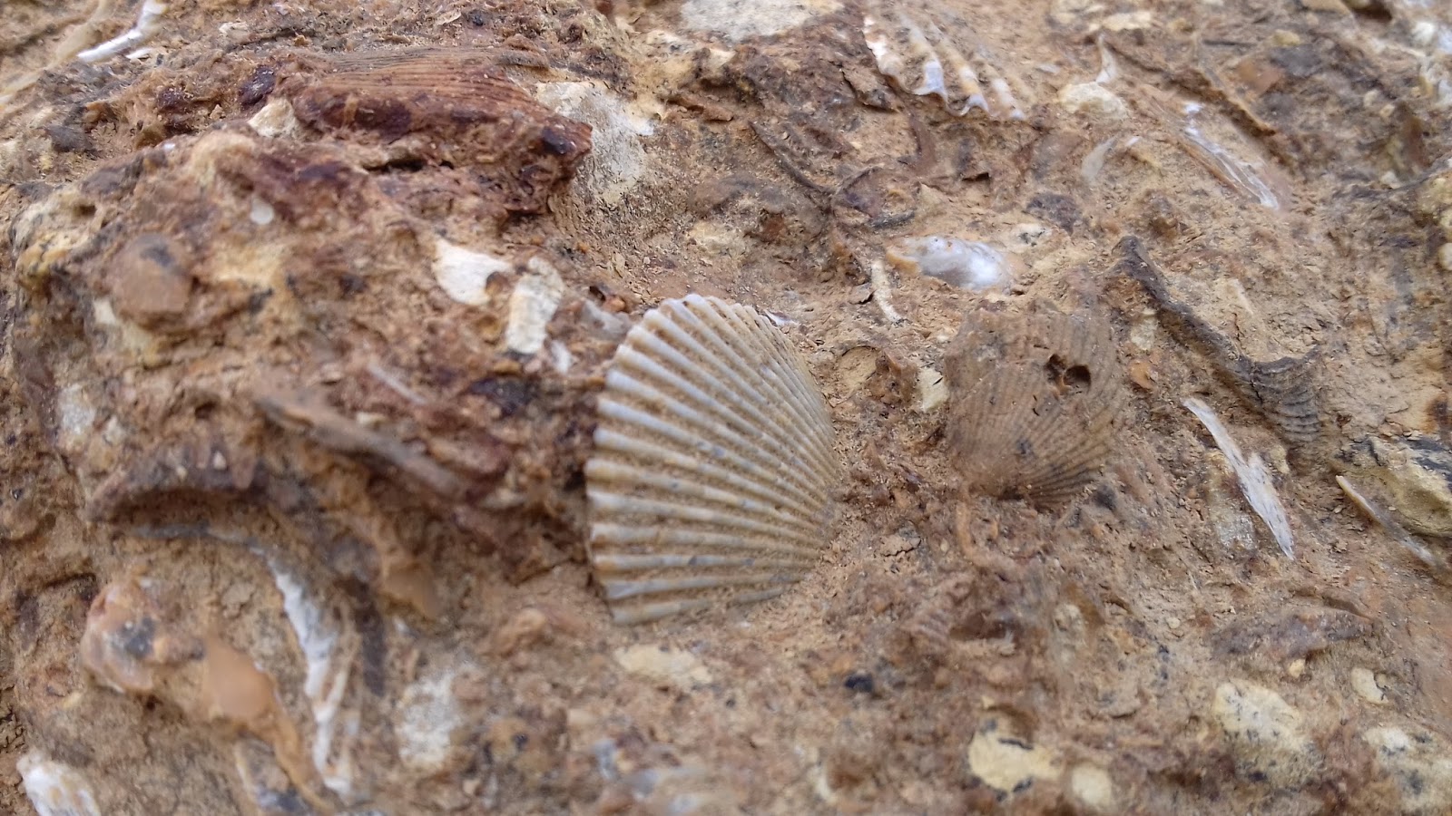 Stone Art In Kutch Proud of Kachhdo - Pic Bester